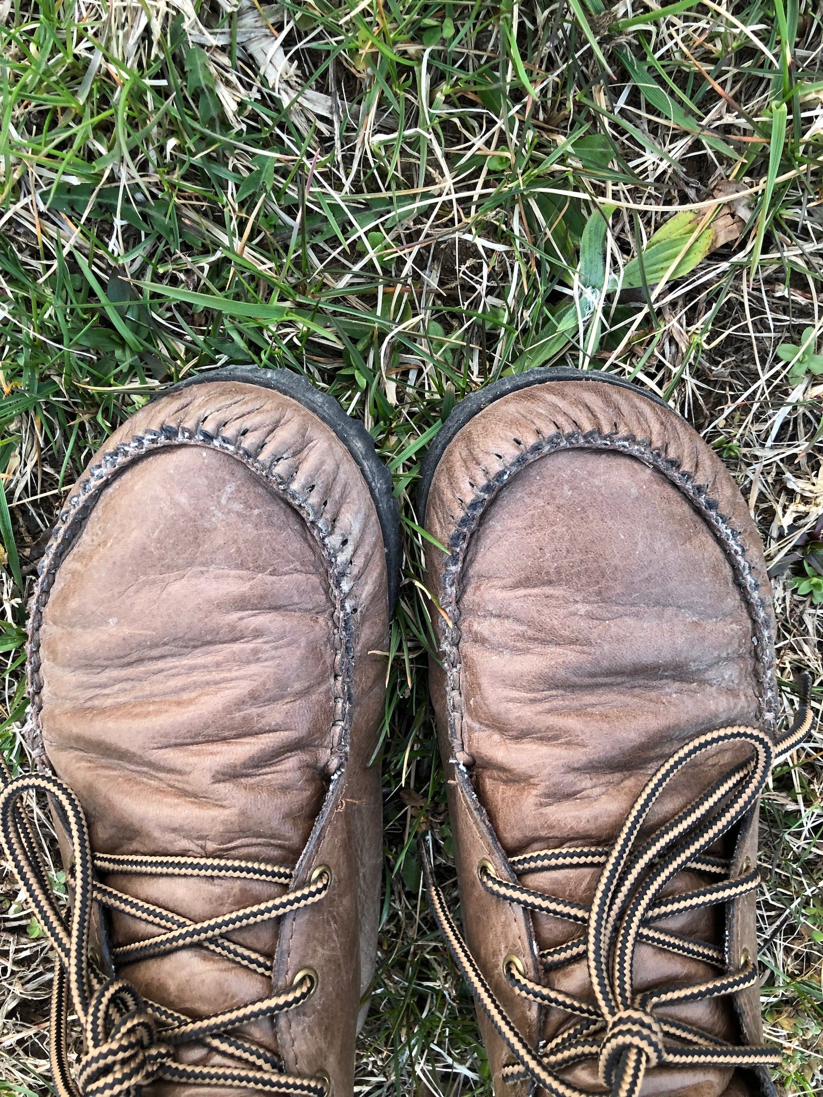 Unshoes Traverse Review | Anya's Reviews