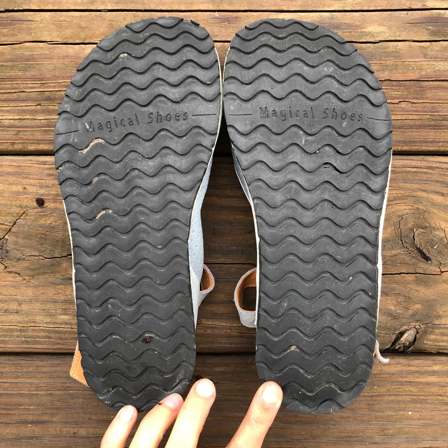 Magical Shoes Ballerina Review | Anya's Reviews