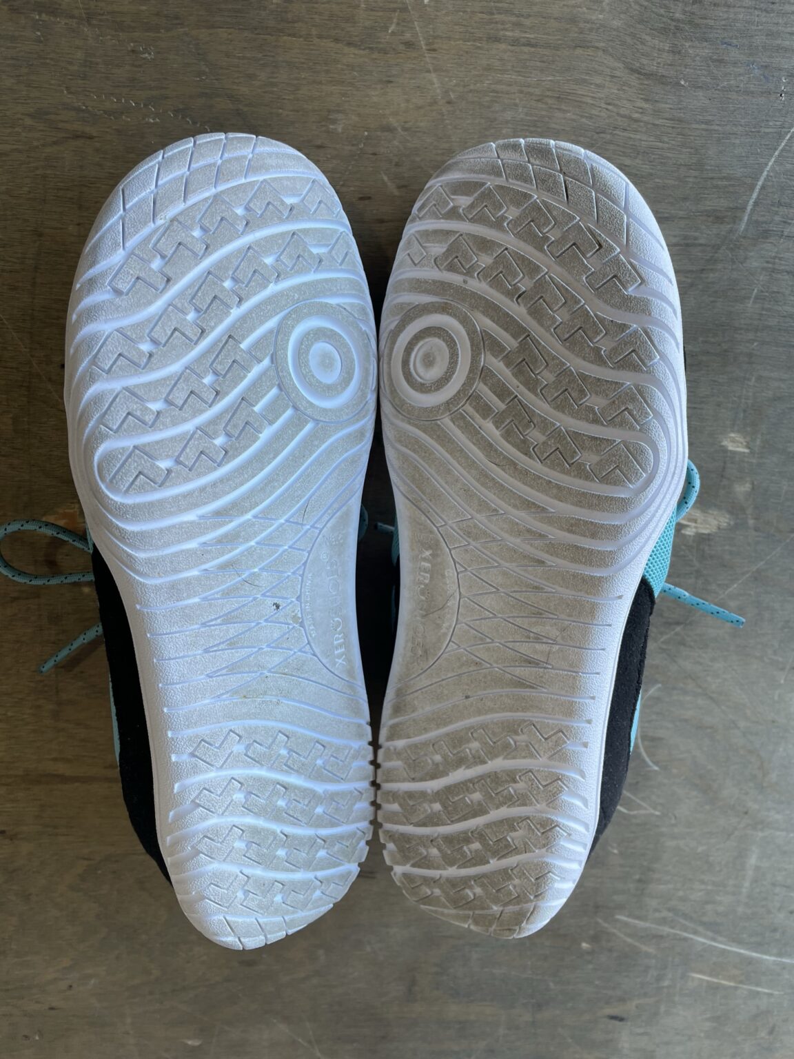 Xero 360 Review - The Ultimate Barefoot Shoe For Cross Training | Anya ...